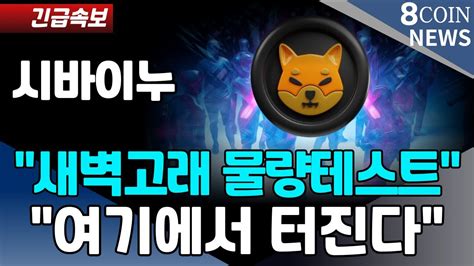 시바이누 긴급 새벽고래 물량테스트 여기에서 터진다 Youtube