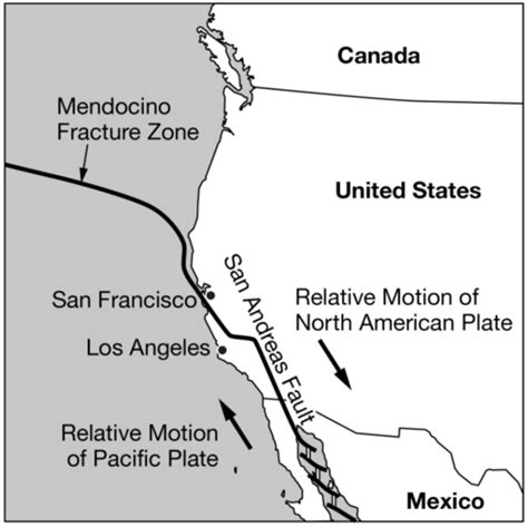Apes Progress Check Flashcards Quizlet