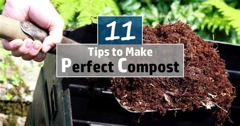 Best Composting Tips To Create A Perfect Compost Balcony Garden W