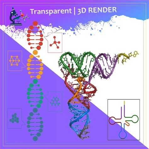 Premium Psd Dna Rna Biochemistry Molecules Structure Protein Nucleic Acid Micro Biology