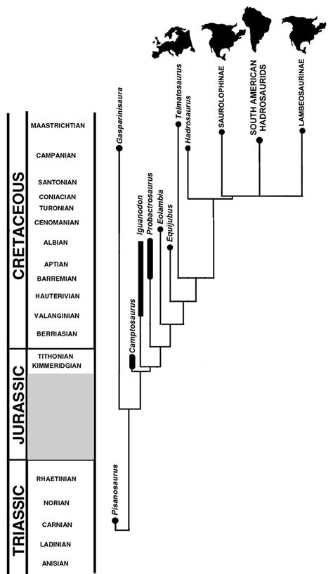 Stratigraphically Calibrated Cladogram Of Several Ornithopods