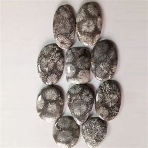 Natural Black Fossil Stone For Jewelry Carat 1 10 At Rs 10 Gram In