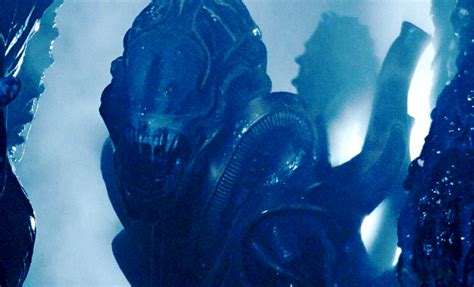 Fx Alien Tv Series Is A Reimagining Of The Franchise Will Be Separate