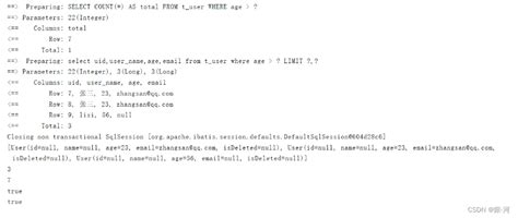 8、mybatis Plus 分页插件、自定义分页 阿里云开发者社区