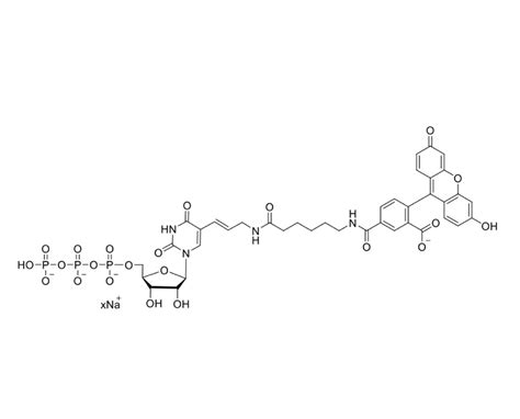Fluorescein 12 Utpcas
