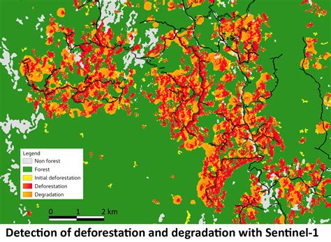 Wide Area Near Real Time Monitoring Of Tropical Forest Degradation And Deforestation Using