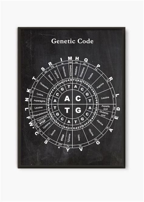 Genetic Code Science Poster T For Scientist Medical Art Biology Art