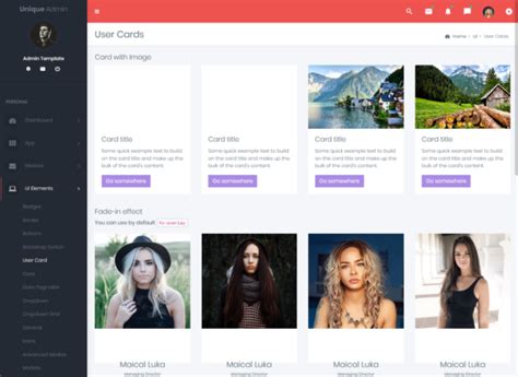 Unique Bootstrap Admin Templates Dashboard