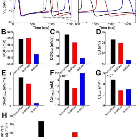 Effects Of Amiodarone On Action Potential Ap And The Heart Rate Under Download Scientific