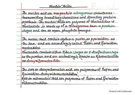 SOLUTION Nucleic Acids And Types Hand Made Notes Studypool
