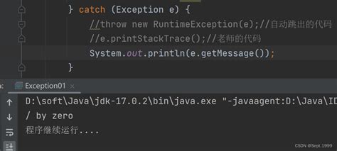 Java异常处理：运行时与编译异常详解 Csdn博客