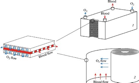3 Layout View Of The Element Of A Membrane Oxygenator And Its Use In A Download Scientific