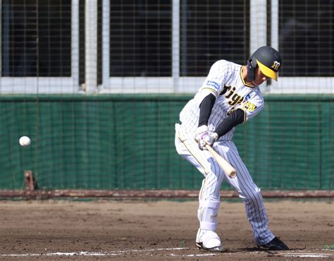阪神 小幡竜平 決勝点もぎ取る！ 阪神タイガース スポーツニュースまとめブログ
