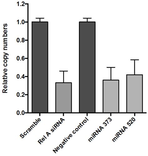 Microarrays Free Full Text Phenotypic Microrna Microarrays
