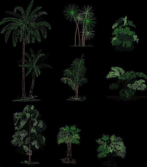 Coconut Palms Trees Plant Front View Elevation 2d Dwg Block For Autocad