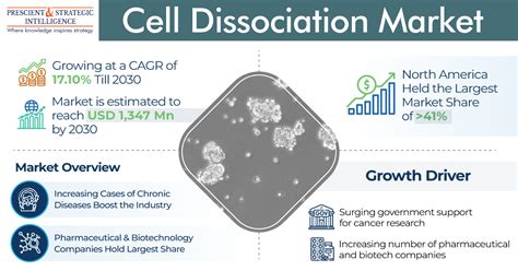 North America Is Dominating Cell Dissociation Industry ~ Prescient