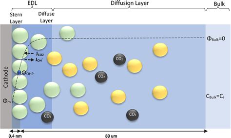 Schematic Of Mass Transport Regions For A Co 2 Er Process Stern Layer Download Scientific