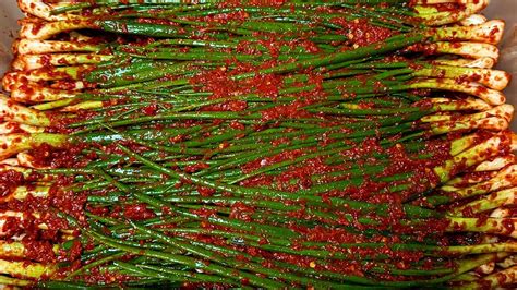 쪽파김치 이렇게 담그시면 겨울내내 정말 맛있게 먹을 수 있어요 Youtube