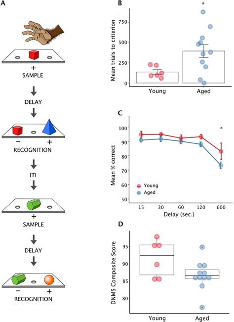 Performance In The Delayed Nonmatching To Sample Dnms Task A Task Download Scientific
