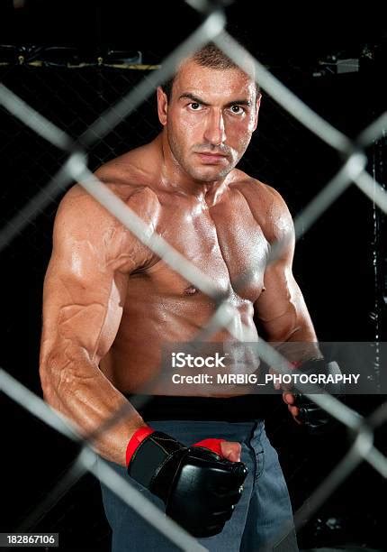 근육질의 무술 전투기 Mma 개인 경기에 대한 스톡 사진 및 기타 이미지 개인 경기 격투기 권투 스포츠 Istock