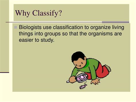 Ppt Classification Of Organisms Powerpoint Presentation Free