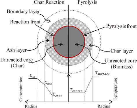 Shrinking Core Model Evolution Fields Of Research And Future Of