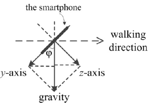 Calculation Of Vertical Acceleration Download Scientific Diagram