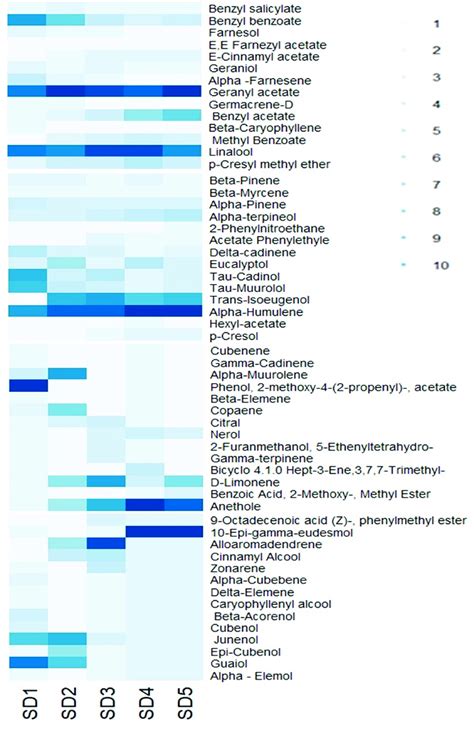 Heatmap Of Total Volatile Compounds Dynamics Characterized By Gc Ms In