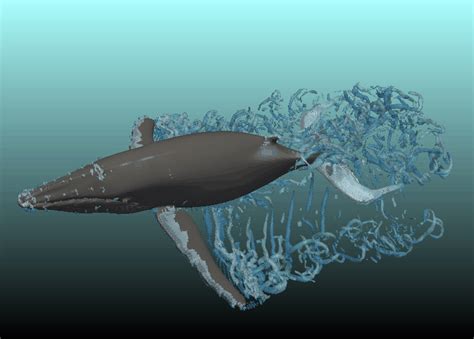 Andhini Zurman Nasution Ph D On Linkedin Fluid Structure Interaction Fsi Simulations For