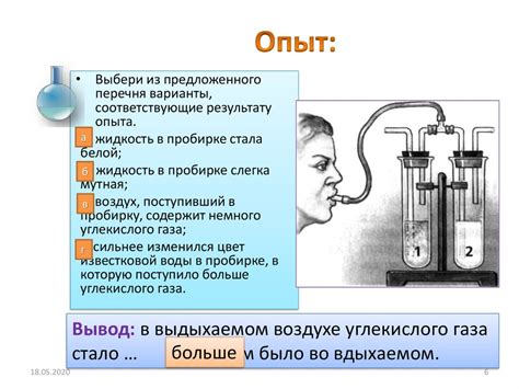 Можно ли жить и не дышать презентация онлайн