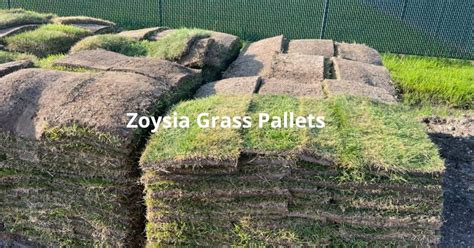 Zoysia Sod Palisades Zoysia Grass Pallets For Sale In Spring Tx