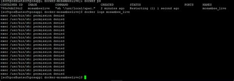 Docker Exec Usrbinsh Permission Denied When Starting My Container General Docker