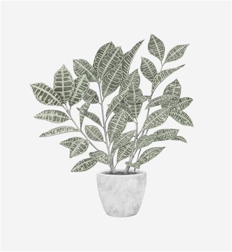 Shrub Drawing
