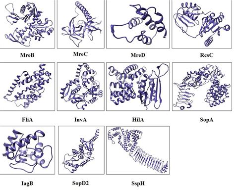 homology models of selected non variable sequence proteins between s