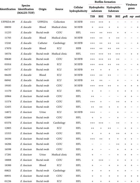 General Characteristics Of E Faecalis And E Faecium Isolates