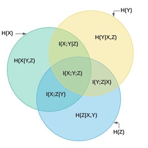 Three Variable Mi Venn Diagram Download Scientific Diagram