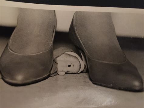 Crushing A Old Doll With Plastic Face Heavy Trampling Forum Heavy