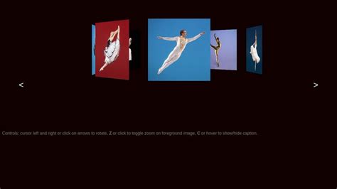 3d Carousel Gallery Ii