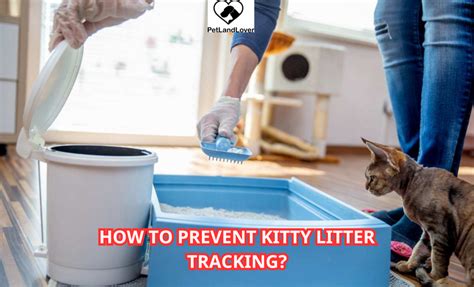 How To Prevent Kitty Litter Tracking Pet Land Lover