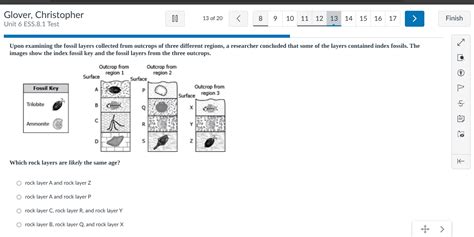 Upon Examining The Fossil Layers Collected Studyx
