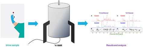 Frontiers In NMR Metabolomics Magnetic Resonance In Chemistry Vol No