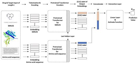 Fine Tuning Of Bert Model To Accurately Predict Drugtarget Interactions Pmc