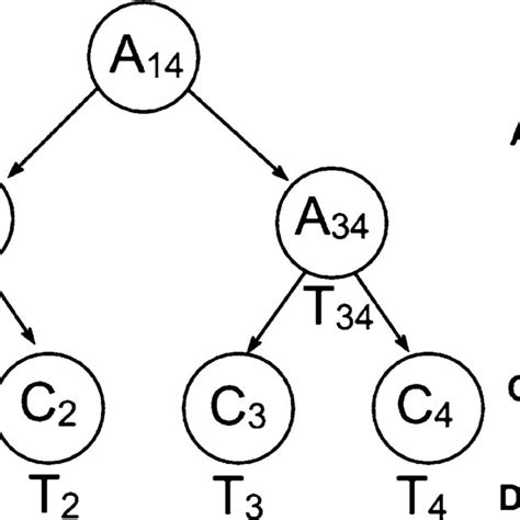 The Adaboost M 1 Algorithm Download Scientific Diagram