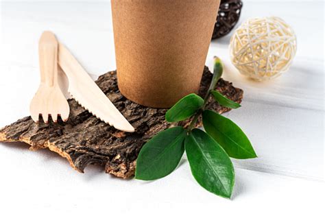 공예 종이 커피 컵 녹색 잎 새싹 나무 껍질 및 재활용 된 칼톱 보기 제로 폐기물 친환경 천연 유기농 플라스틱 프리 컨셉 복사 공간으로 생분해성 지구 0에 대한 스톡 사진