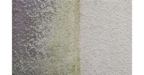 How Much Does Render Cleaning Cost