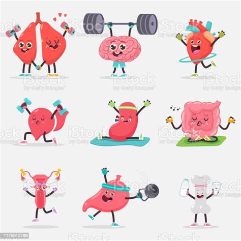 요가와 피트니스 운동을하고 귀여운 인간의 내부 기관 벡터 만화 캐릭터는 배경에 격리 설정합니다 등장인물에 대한 스톡 벡터 아트 및 기타 이미지 Istock