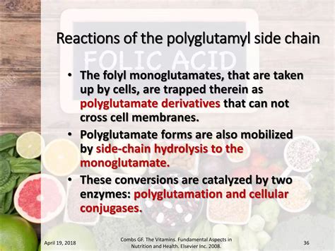 Absorption Transport And Metabolism Of Folate Ppsx