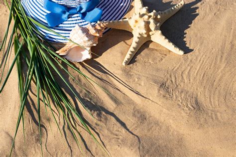 화창한 여름날 파란 줄무늬 여름 모자와 큰 조개껍데기 불가사리가 모래 위에 누워 있습니다 Brand Name Smart