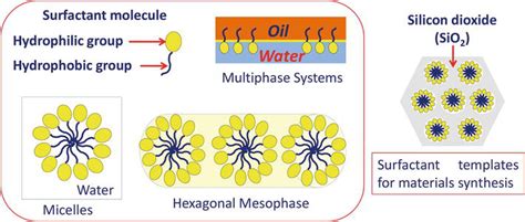Introductory Chapter Surfactants Bridging Fundamental Concepts With Emerging Perspectives