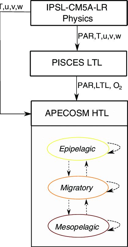 Schematic Representation Of The Experimental Design Plain Arrows Download Scientific Diagram